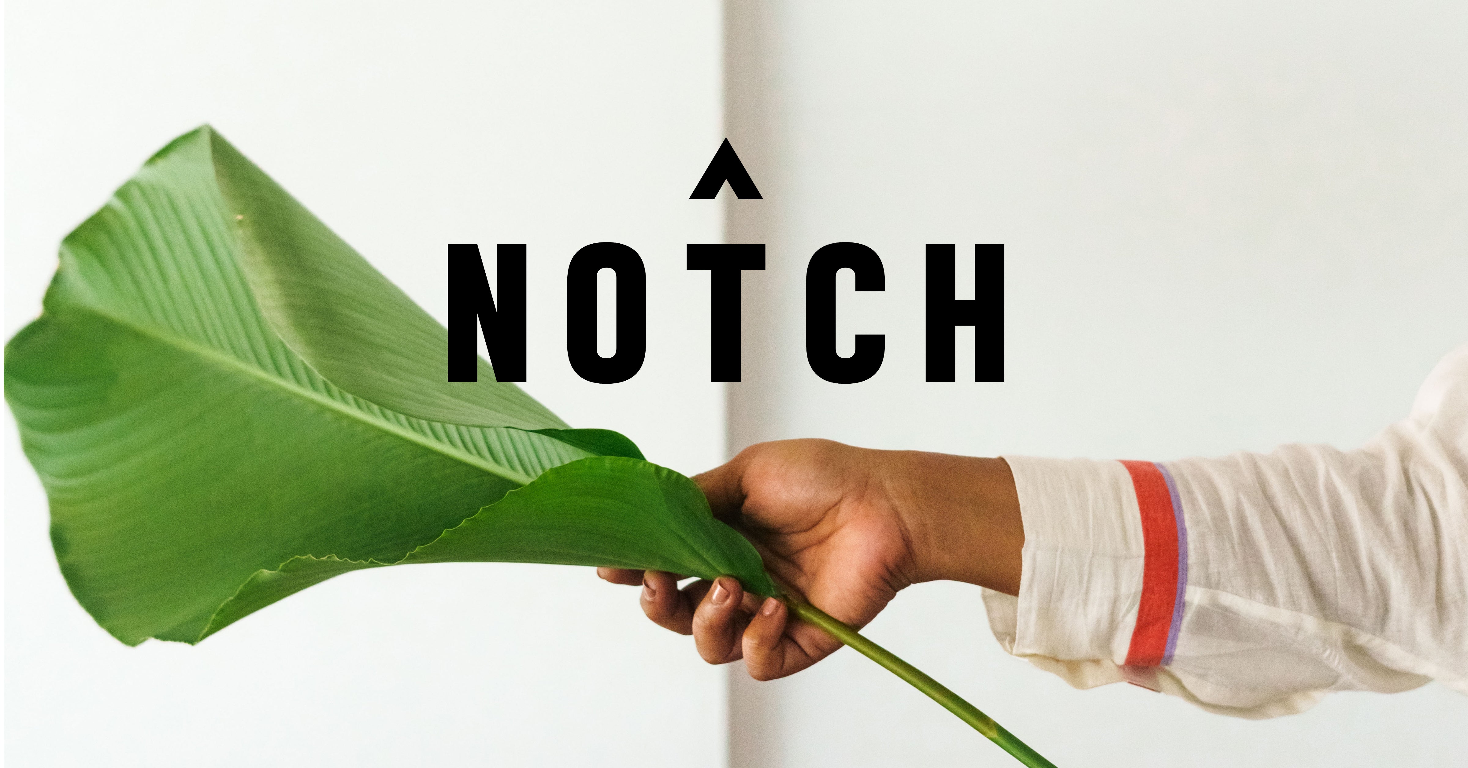 Everyday comfort clothing at best – Notch Lifestyle